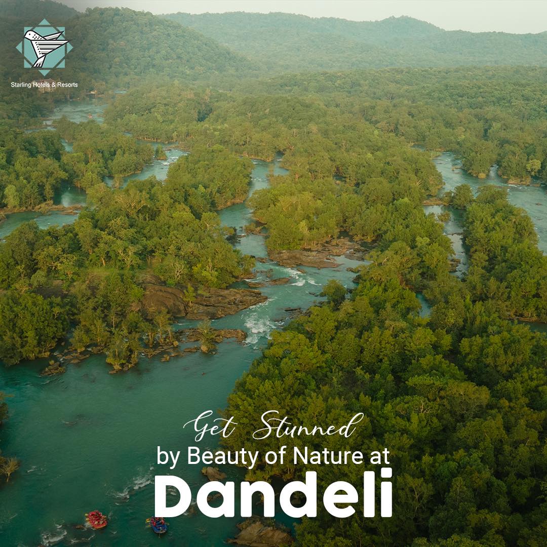 Dandeli Resorts List - Starling Hotels & Resort